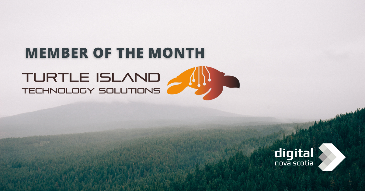 Turtle Island Technology Solutions: Championing Indigenous ...